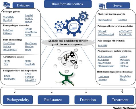 What Are Bioinformatics Tools At Taj Rolleston Blog