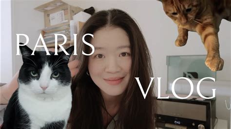 🇫🇷🇰🇷sub프랑스 파리 일상 파리 재즈바🍷 고양이 미모자랑🐈 브이로그 음악추천 프랑스어 자막 Coréenne Paris Vlog Youtube