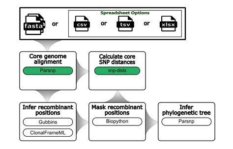Bacterial Genomics Project