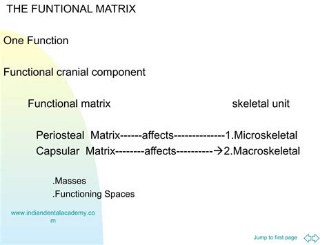 Functional Matrix Theory Ppt