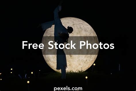 Introduction To Orthogonalization Photos Download The Best Free