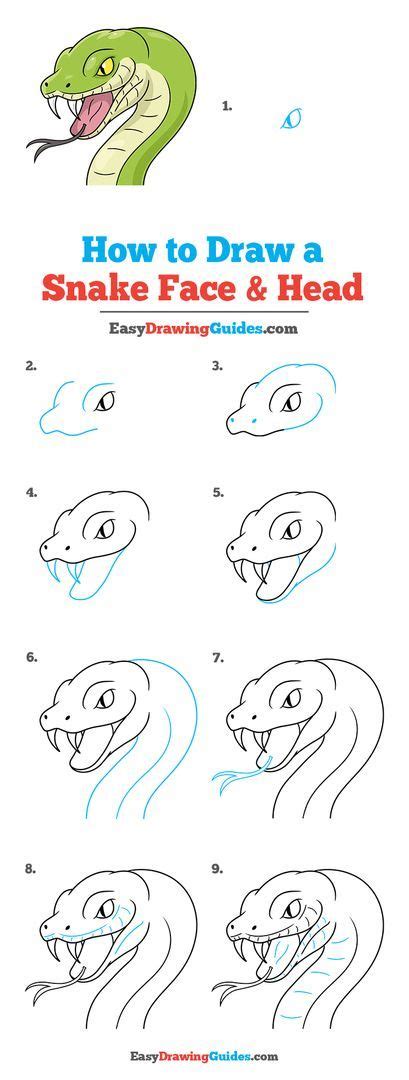 How To Draw A Snake Face And Head Snake Drawing Drawing Tutorial