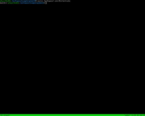 Dev Containerで手軽にbinary Exploitationを体験する