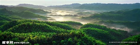蜀南竹海摄影图 自然风景 自然景观 摄影图库 昵图网