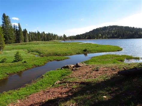 Hike To San Gregorio Reservoir In New Mexico This Summer Mexico