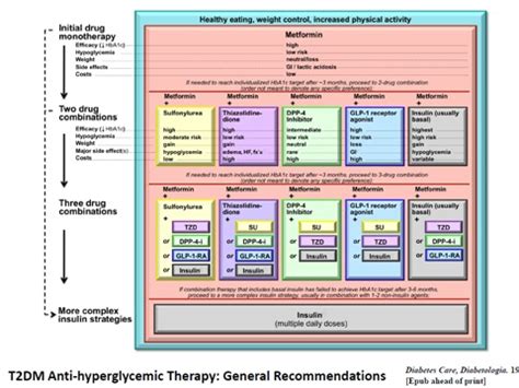 ADA EASD Position Statement Management Of Hyperglycemia In T2DM Part 4 Of 4