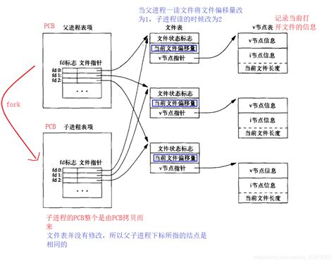 【linux】——文件操作系统调用fileds Csdn博客
