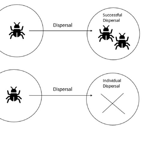 The Concept Of Realized Dispersal The Top Image Shows Realized Download Scientific Diagram