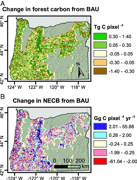 Spatial Patterns Of Forest Carbon Stocks And Necb By 2091 2100 The