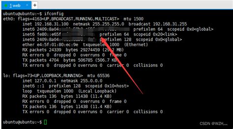 树莓派ubuntu Docker Nginx Wordpress个人网站搭建全纪录超详细入门友好篇 阿里云开发者社区
