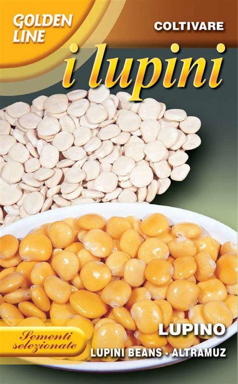 Lupini Beans Edible Lupine Glle 87 50 Seeds From Italy