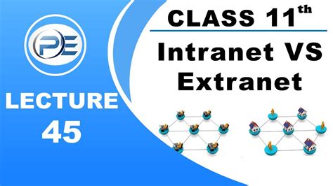 intranet vs extranet 1st year computer science in urdu chapter 2
