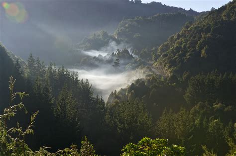 Te Urewera Alchetron The Free Social Encyclopedia