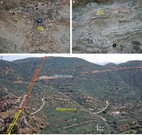 Antiform Listric Fault Zone Features A Gully Structure Filled By Download Scientific Diagram
