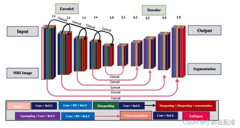医学图像分割论文学习 利用深度学习和人脑医学成像进行多类疾病检测（2023）深度学习图像分类论文2023 Csdn博客