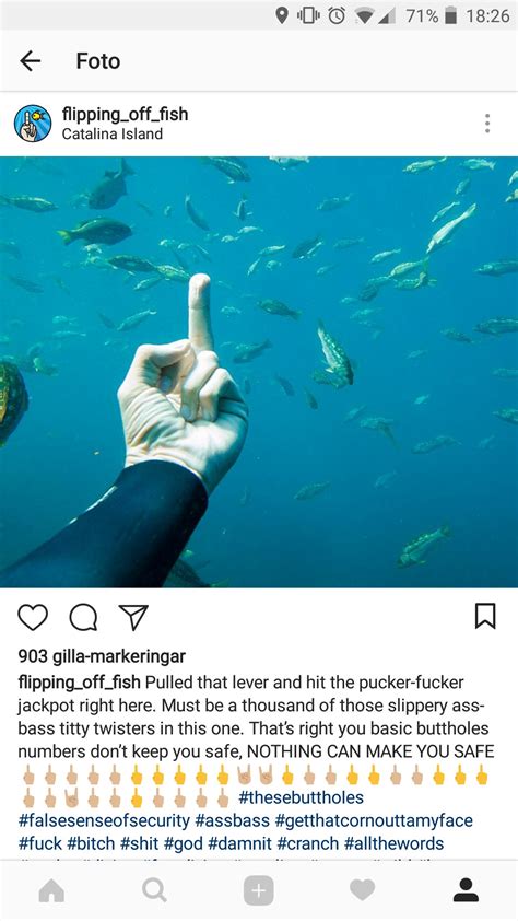 Theres An Instagram Account About A Person Flipping Off Random Fish
