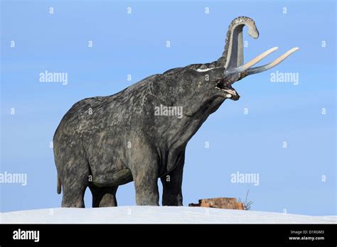 Mastodon Habitat