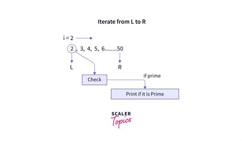 prime number between given range in java scaler topics