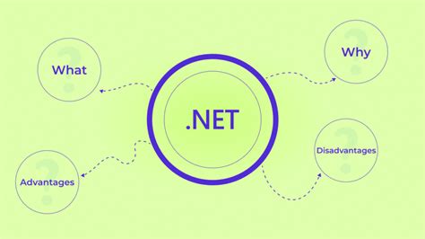 Net What Why Advantages And Disadvantages