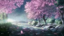 Sakura Tree  Sakura Tree Discover And Share S