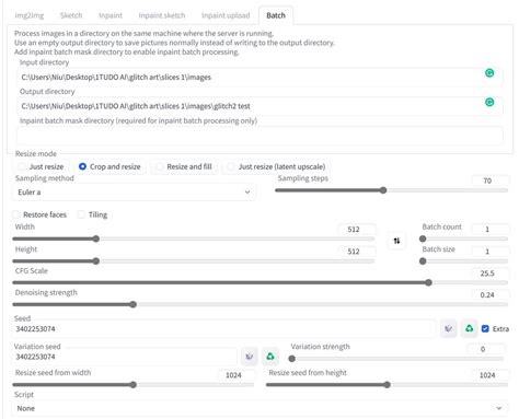 What Are All These Script Settings Under Img2img Batch Seed Extra R