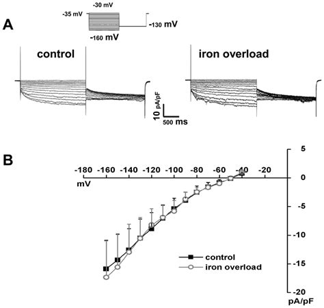 Properties Of The Hyperpolarization Activated Current I F In San Download Scientific Diagram