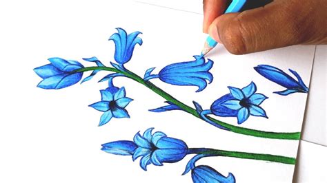 Blue Flower Drawing Easy With Colour