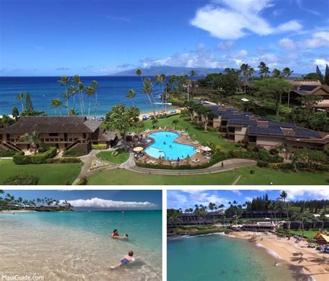 Napili Bay Beach Review Maui Beaches Maui Guide