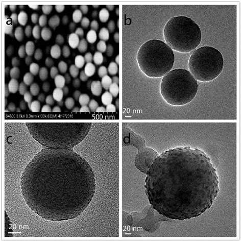 SEM Images A SiO 2 TEM Images B SiO 2 C SiO 2 EuTTA And Download Scientific