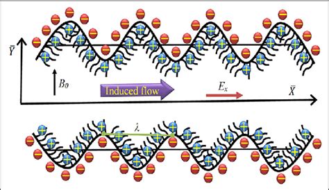 Schematic Diagram And The Physical Configuration Download Scientific