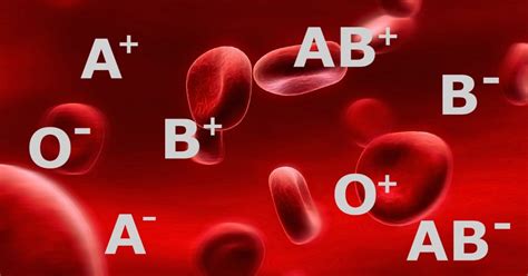 Abo System And Rh Factor Biology