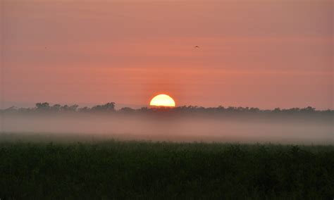 Debugging Remotely On Linux Target With Eclipse