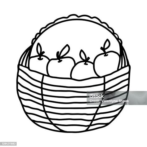 흰색 배경에 고리버들 바구니에 잘 익은 사과 곱슬 손잡이가 달린 반원형 바구니에 네 개의 사과의 흑백 낙서 벡터 일러스트레이션 바구니에 대한 스톡 벡터 아트 및 기타 이미지