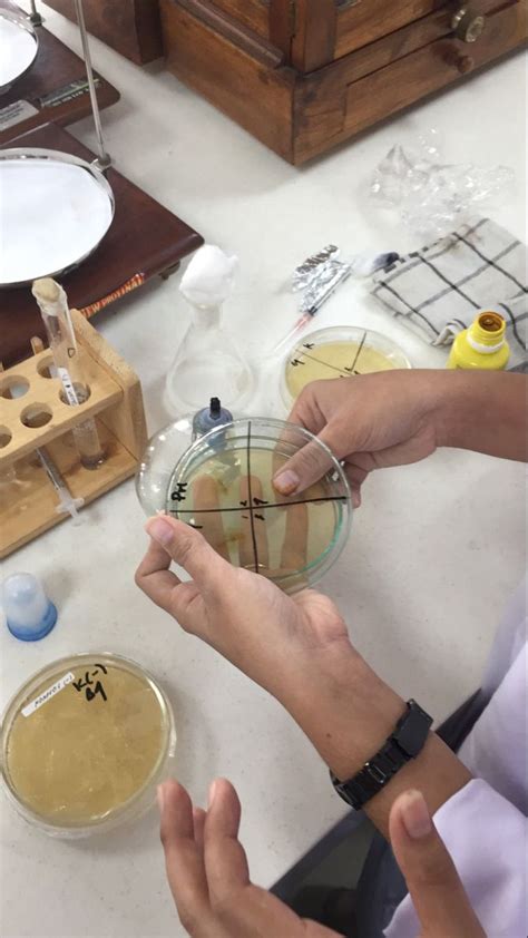 Pin Oleh Ann 🏻⭐ Di Archv🐚