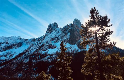 Trader Joes Announces Second Bellingham Location My Bellingham Now