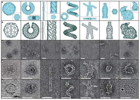 Researchers Look Into 3d Printing Nanoscale Objects Using Strands Of Dna The