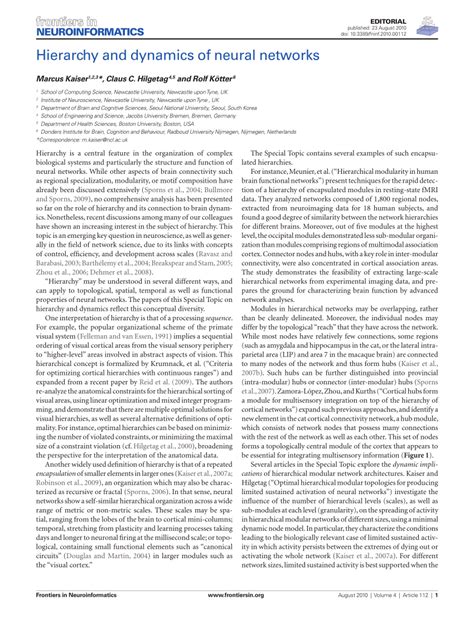 pdf hierarchy and dynamics of neural networks