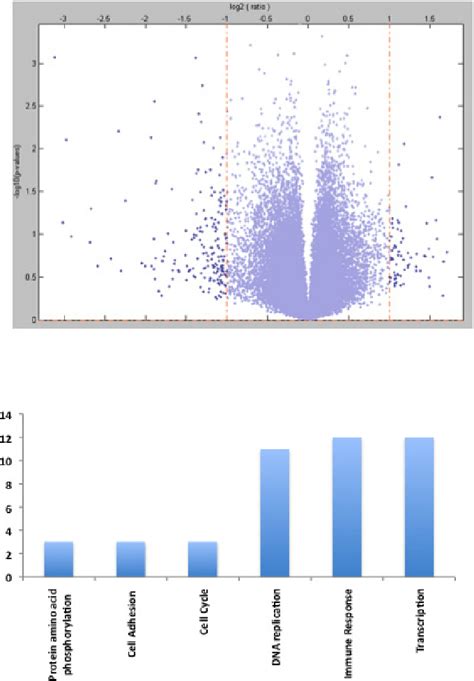 Differentially Expressed Genes Volcano Plot Demonstrating Download Scientific Diagram