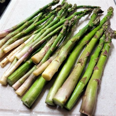 3년생 아스파라거스 키우기 수확 네이버 블로그