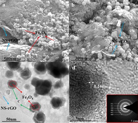 Sem Image Of Ns Rgo Fe3o4 A And Sem B And Tem C D Of Ns Rgo Fe3o4 C Download Scientific