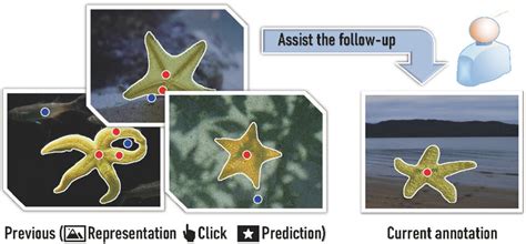 motivation for sequential interactive image segmentation in the