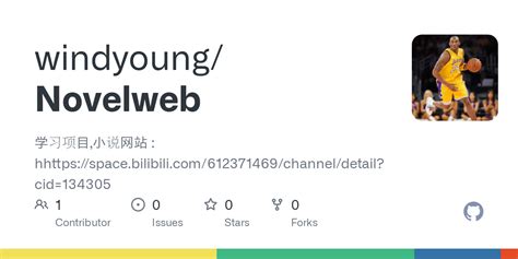 GitHub windbabe Novelweb 学习项目 小说网站 hhttps space bilibili com 612371469 channel detail