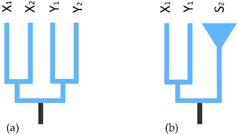 Gene Genealogies Under Different Evolutionary Scenarios A The Marker Download Scientific