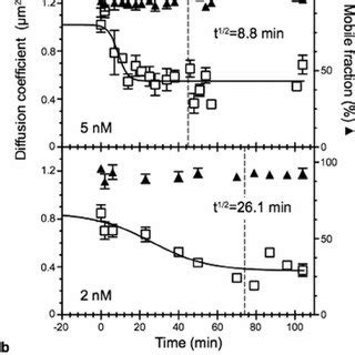 The Diffusion Coefficient Depends On Protein Size A Enlargement Of Download Scientific