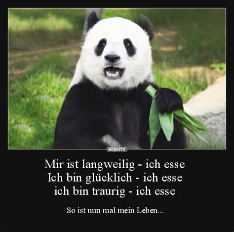 Mir Ist Langweilig Ich Esse Ich Bin Glücklich Debestede