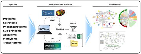 Genes Free Full Text Nevomics An Enrichment Tool For Gene Ontology And Functional Network