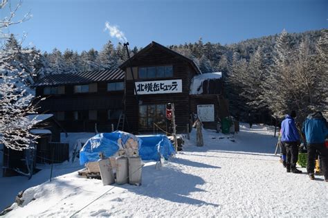 Log