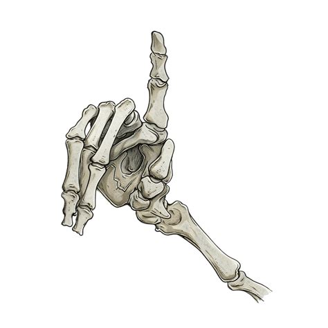 Skeleton Hand Reaching Pointing Finger Illustration Finger Pointing