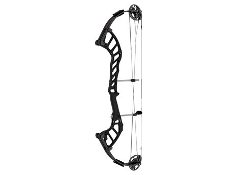 Hoyt Compound Altus Fx Dcx 2022 Disport