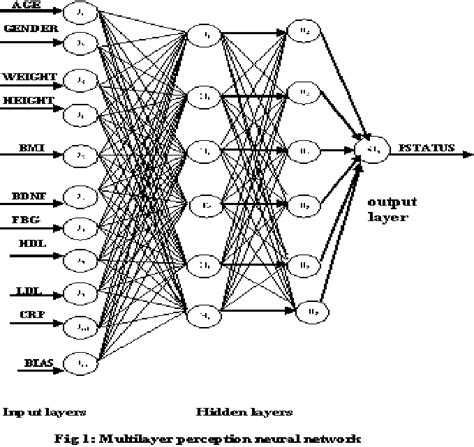 multilayer perceptron mlp neural network with diabetic patient
